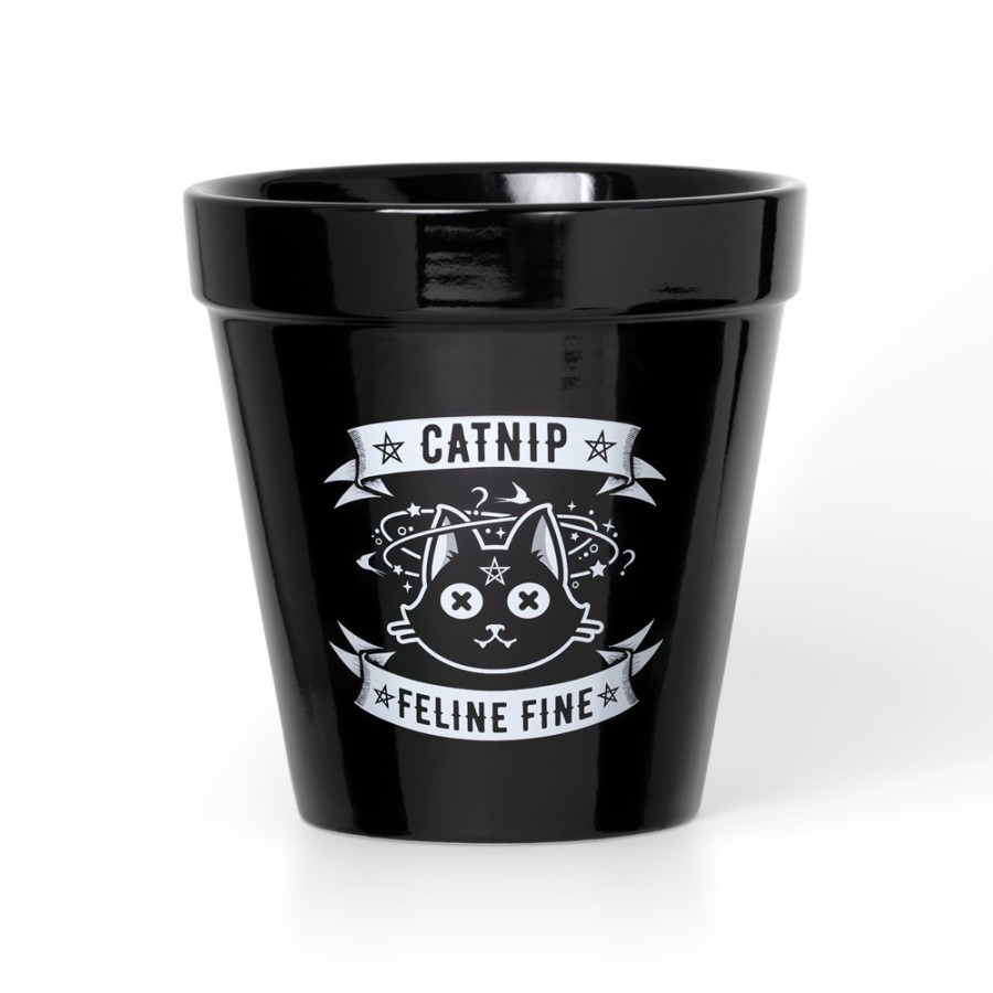 Plant Pots