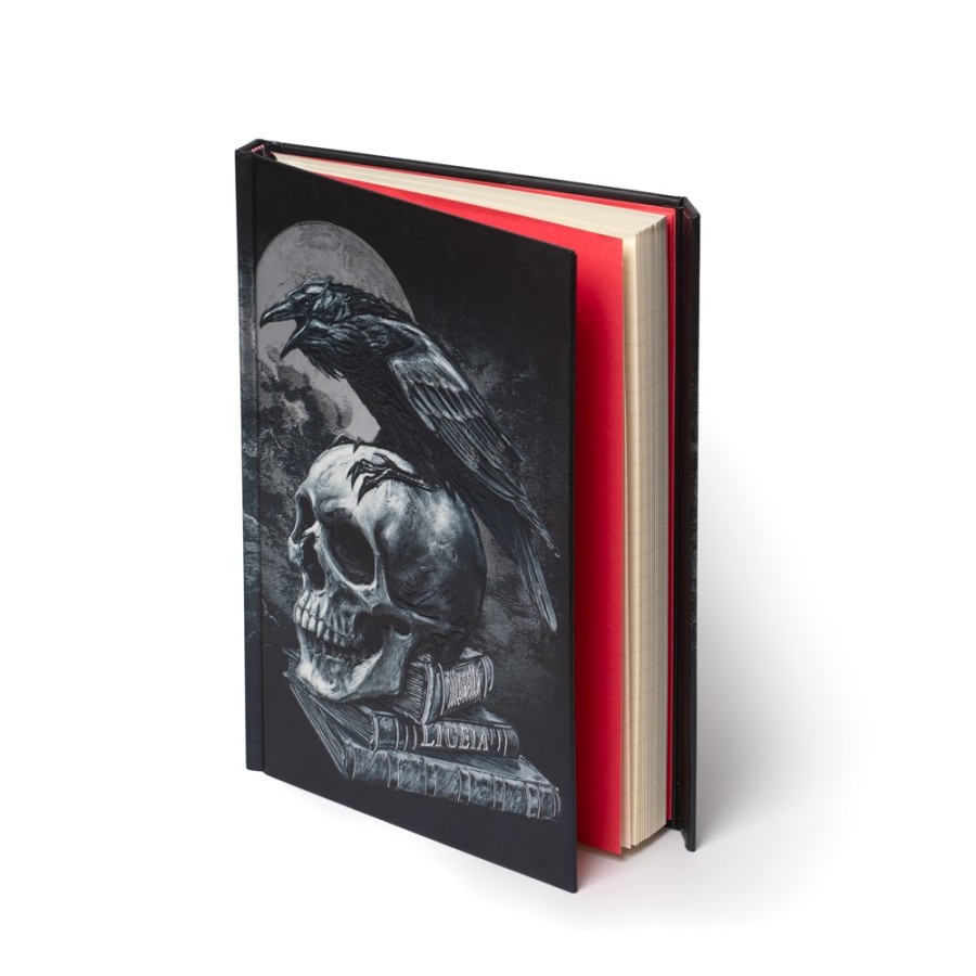 Poe's Raven (Foiled Journal) (ANB1) ~ Notebooks | Alchemy England