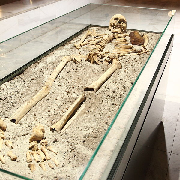 Alchemy England Blog » Vampire_skeleton_of_Sozopol_II