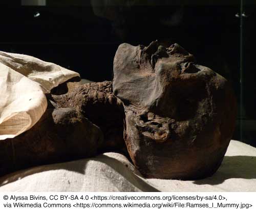 Alchemy England Blog » The Tale of the Vampire