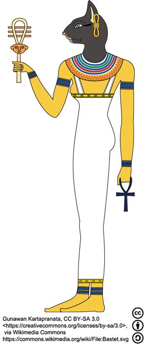 Alchemy England Blog » For The Love Of Cats